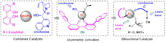 Catalyst Discovery-The ASL Lab